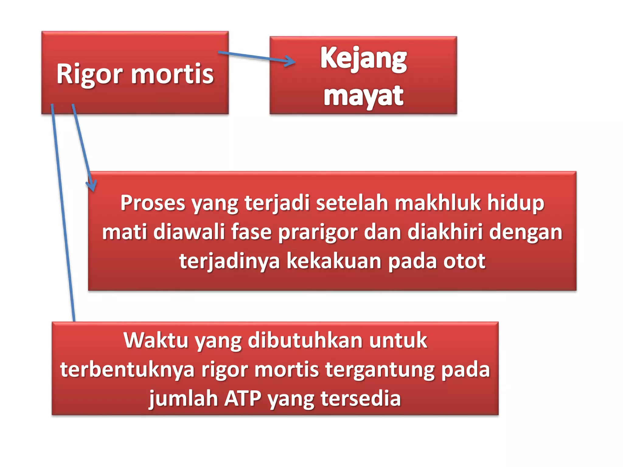 Materi biologi sel rigor mortis | PPTX