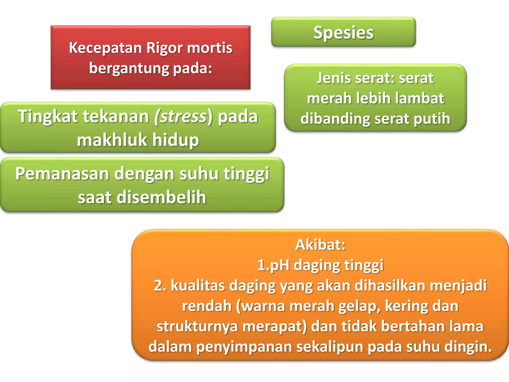 Materi biologi sel rigor mortis | PPTX