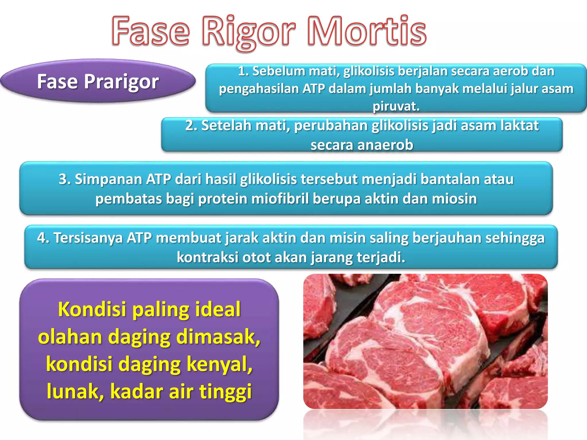 Materi biologi sel rigor mortis | PPTX