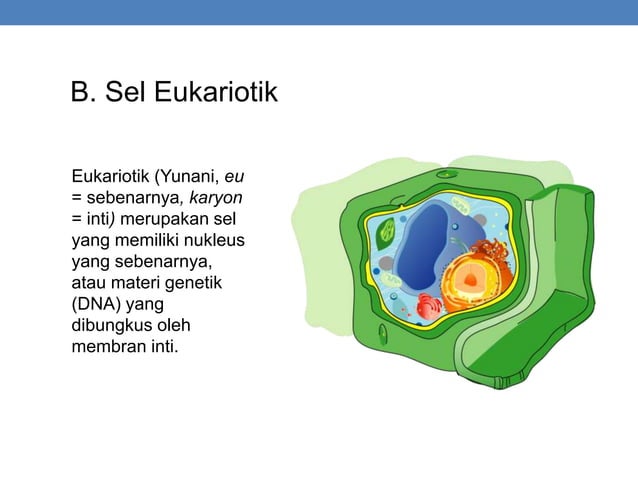 Materi biologi x bab 1 sel | PPTX
