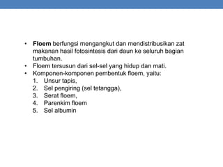 Materi biologi x bab 2 struktur dan fungsi tumbuhan | PPTX