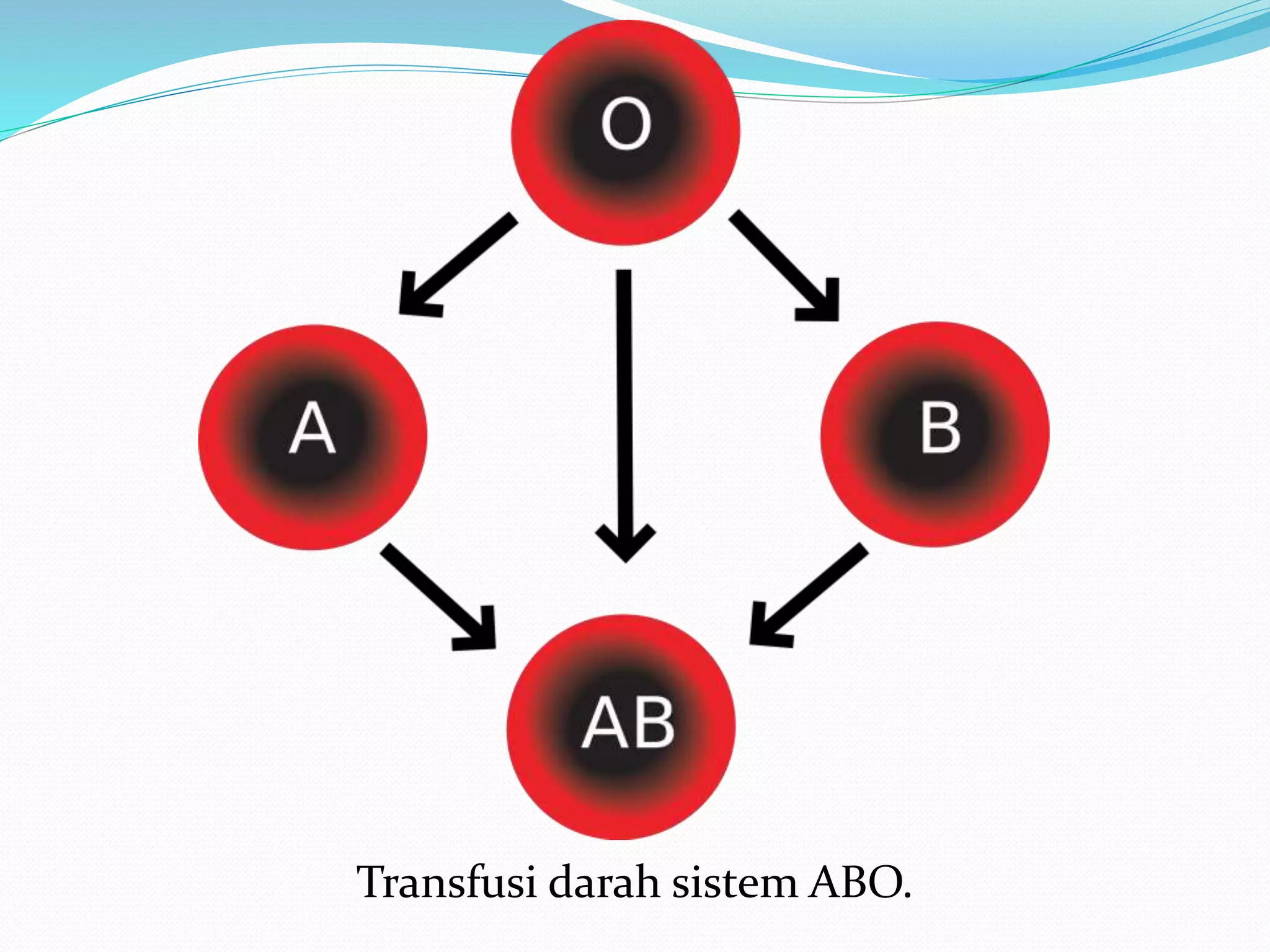 Materi biologi x ppt bab 5 fix | PPTX