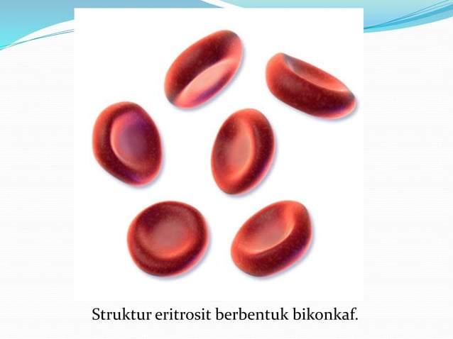 Materi biologi x ppt bab 5 fix | PPTX