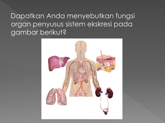 Materi biologi x ppt bab 8 fix | PPT