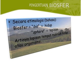Biosfer : Menganalisis persebaran flora di dunia | PPTX