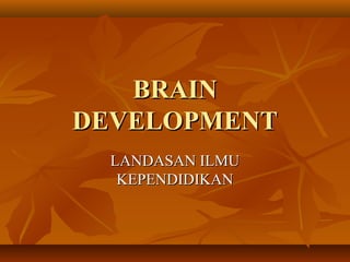 Materi brain development | PPT