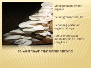 Materi budidaya dan olahan jamur tiram | PDF