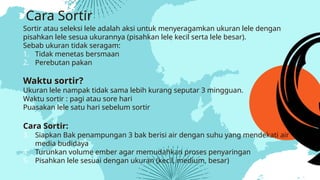 MATERI BUDIDAYA IKAN LELE DALAM EMBER (BUDIKDAMBER) | PPTX