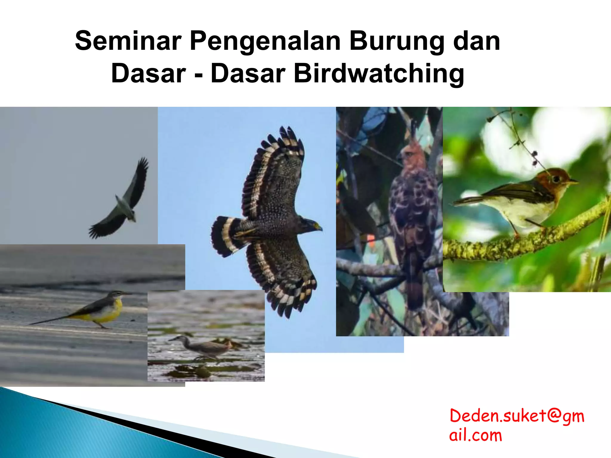 materi burung seminar 4 desember.pptx
