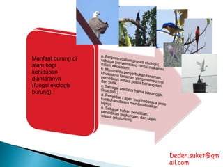 materi burung seminar 4 desember.pptx