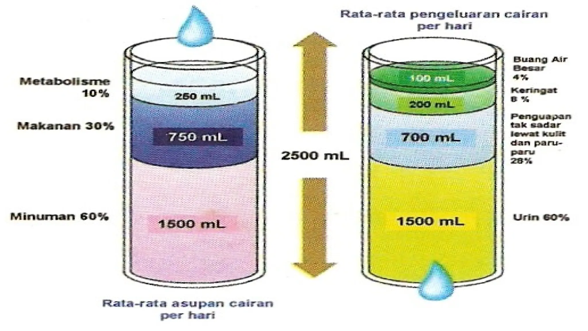 materi cairan dan elektrolit terbaru 2024.pptx