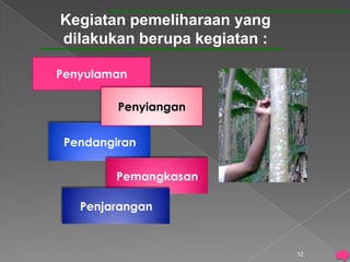 Materi Cara Penanaman Pohon Dinas Kehutanan Kabupaten Bondowoso | PPTX