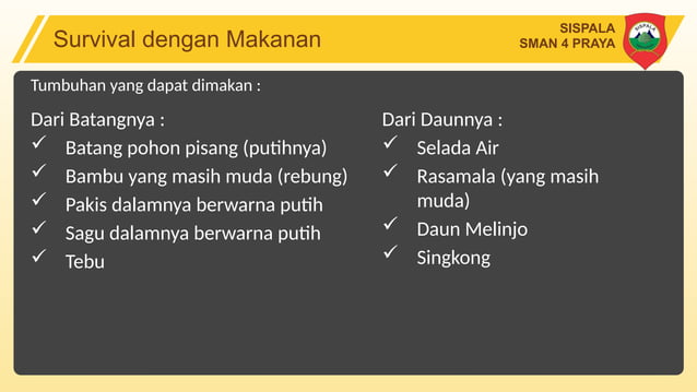 materidasarsurvivalzaradika-210110054103.pptx