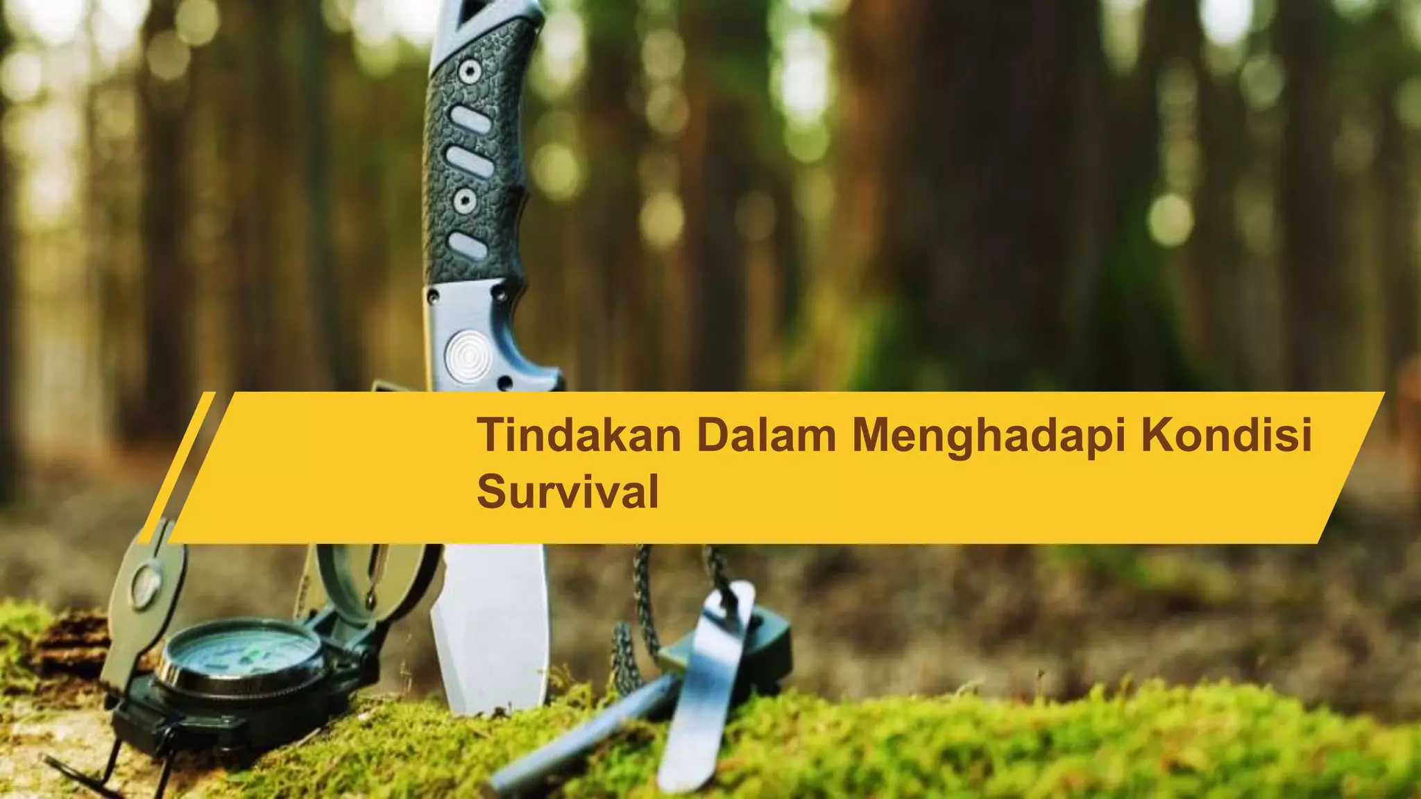 Pengetahuan Dasar Materi Survival MAPALA ZARADIKA | PPTX