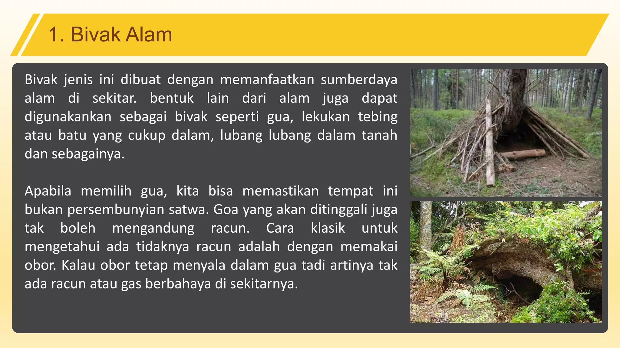 Pengetahuan Dasar Materi Survival MAPALA ZARADIKA | PPTX