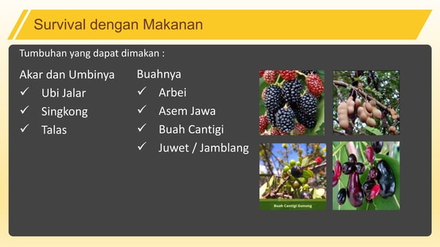 Pengetahuan Dasar Materi Survival MAPALA ZARADIKA | PPTX