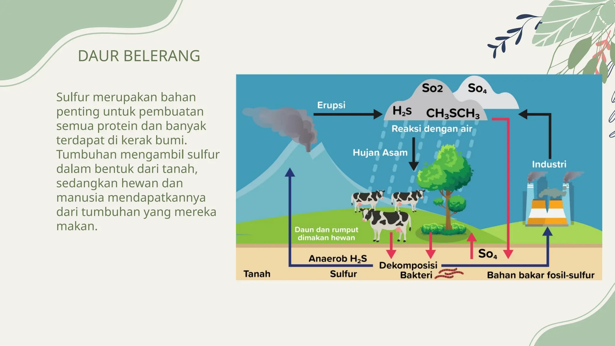 MATERI DAUR BIOGEOKIMIA FASE E SMA/MA.pptx