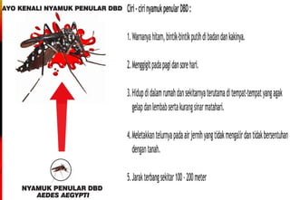 Materi DBD demam berdarah dengue di masyarakat | PPT