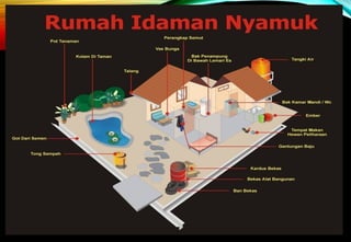 Materi DBD demam berdarah dengue di masyarakat | PPT