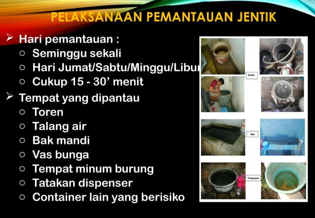 Materi DBD demam berdarah dengue di masyarakat | PPT