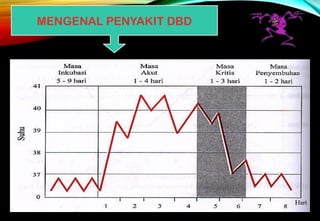 Materi DBD demam berdarah dengue di masyarakat | PPT