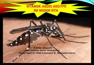 Materi DBD demam berdarah dengue di masyarakat | PPT