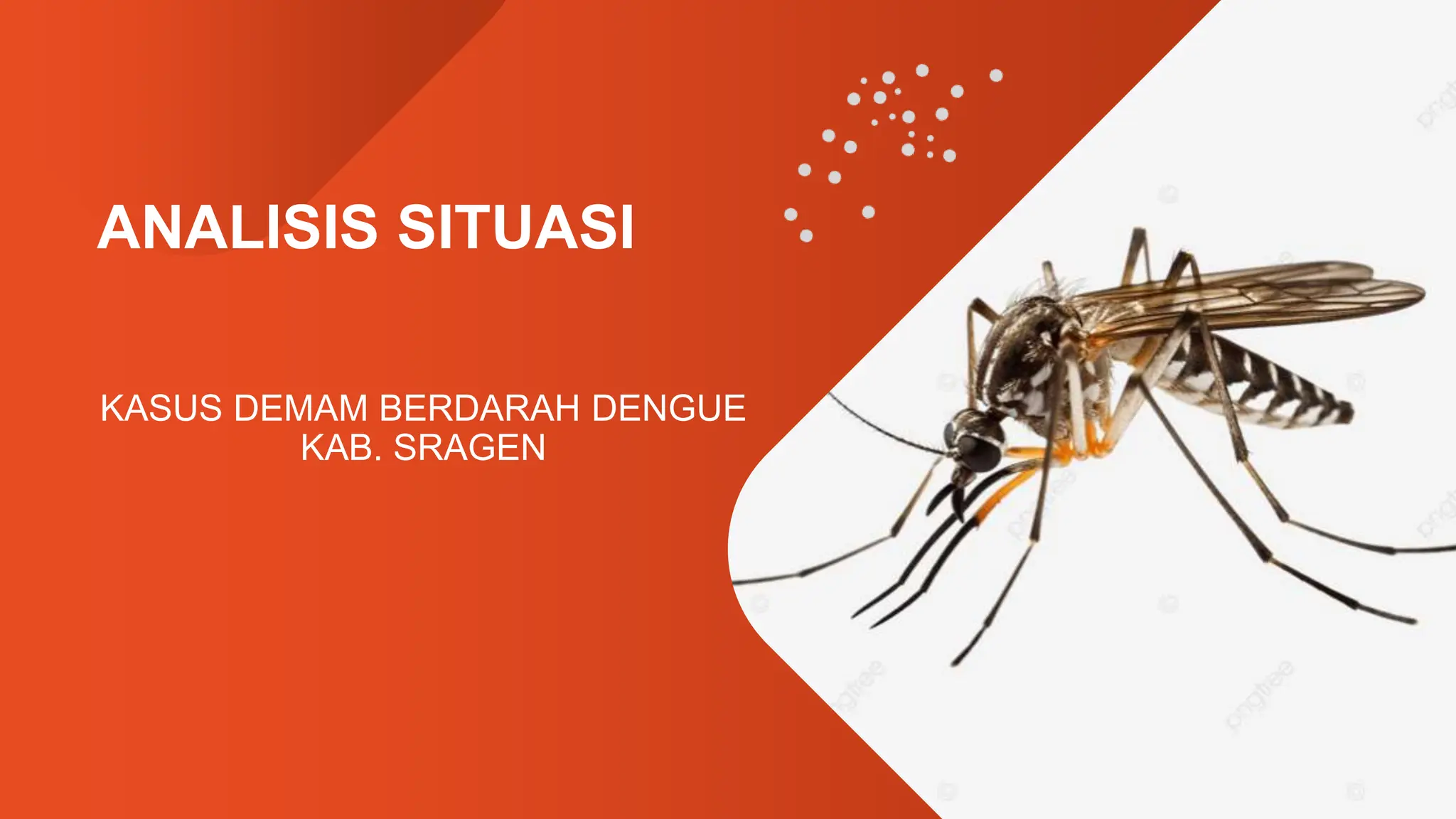 MATERI Demam berdarah dengue tahuan 2024 | PPTX