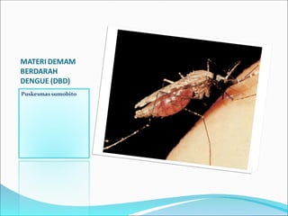 MATERI DEMAM BERDARAH DENGUE (DBD).ppt untuk mencegah penyerabaran DBD ...