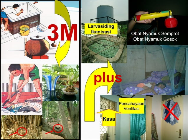 MATERI DEMAM BERDARAH DENGUE (DBD).ppt untuk mencegah penyerabaran DBD ...