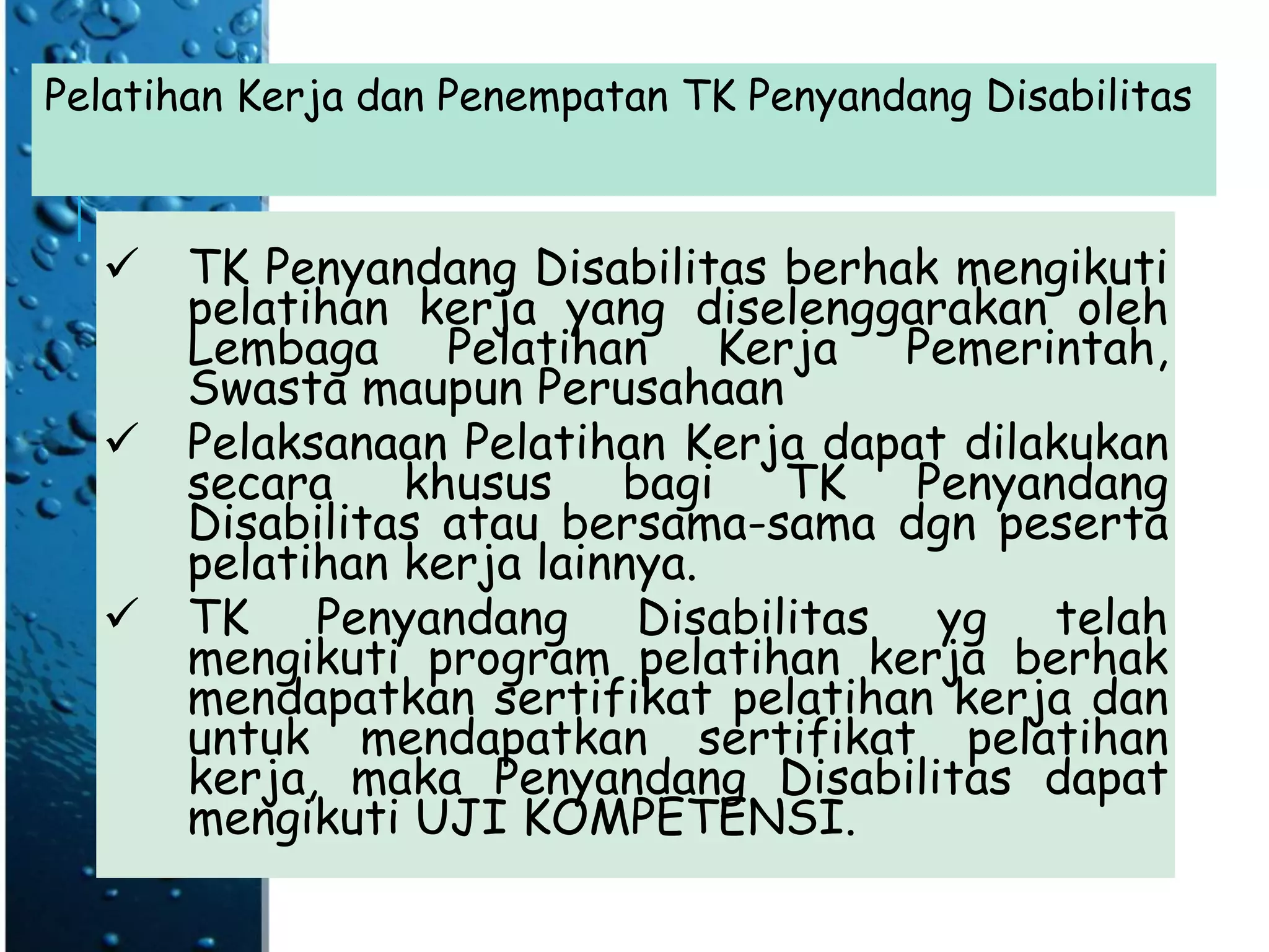 Materi Disabilitas Wasnaker.pptx