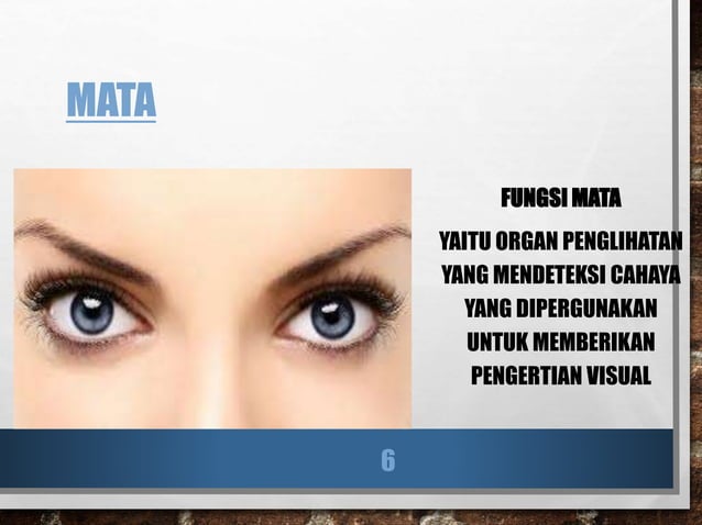 Materi DPM untuk kesehatan masyarakat.pptx | Free Download