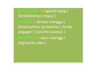 Materi_Dr.dr._Arifa,_M.Si1.ppt departemen farmakologi | PPT
