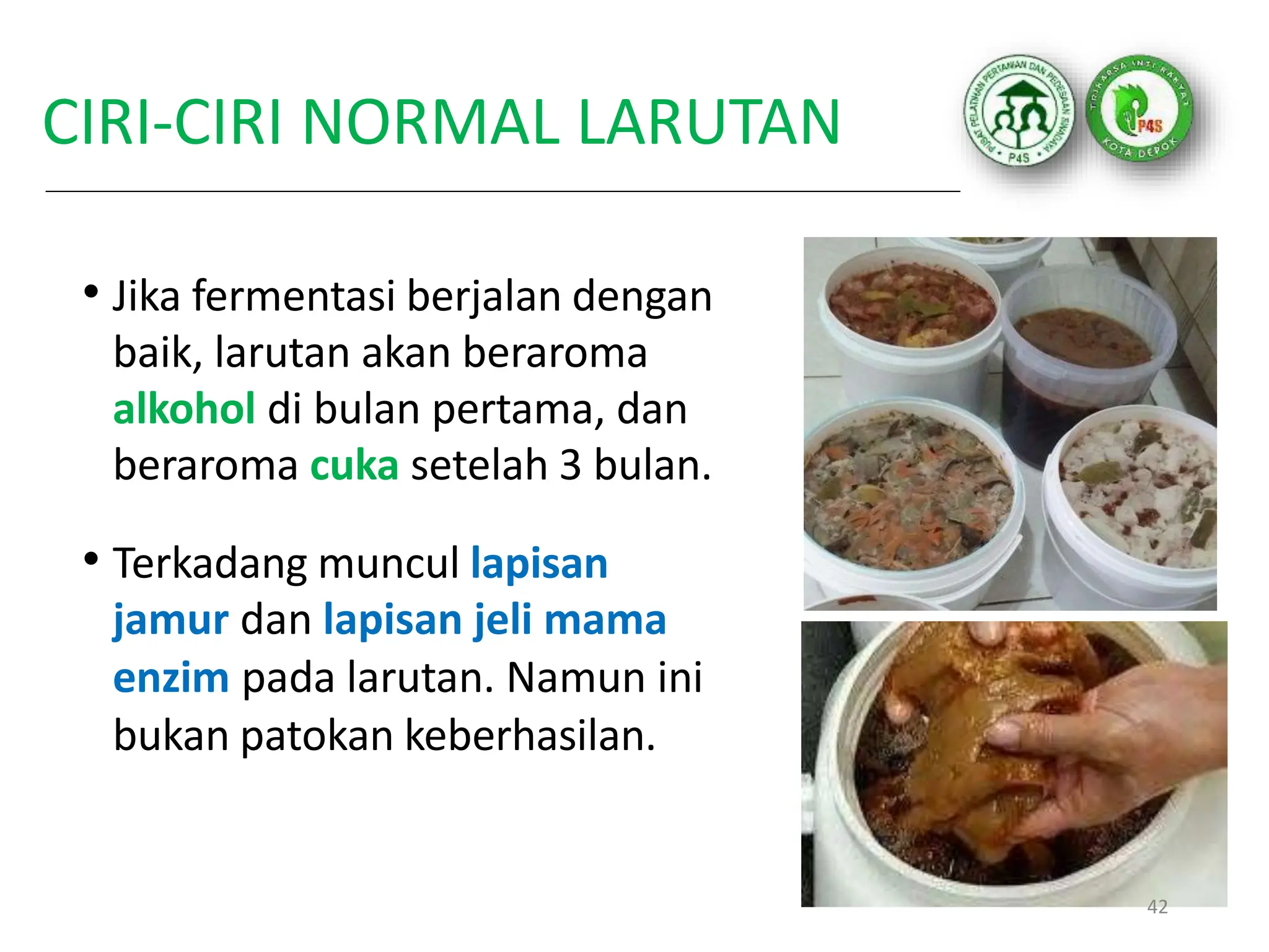 Materi Eco Enzym untuk pertanian(1).pptx