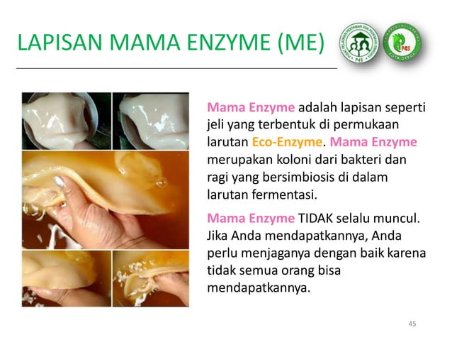 Materi Eco Enzym untuk pertanian(1).pptx