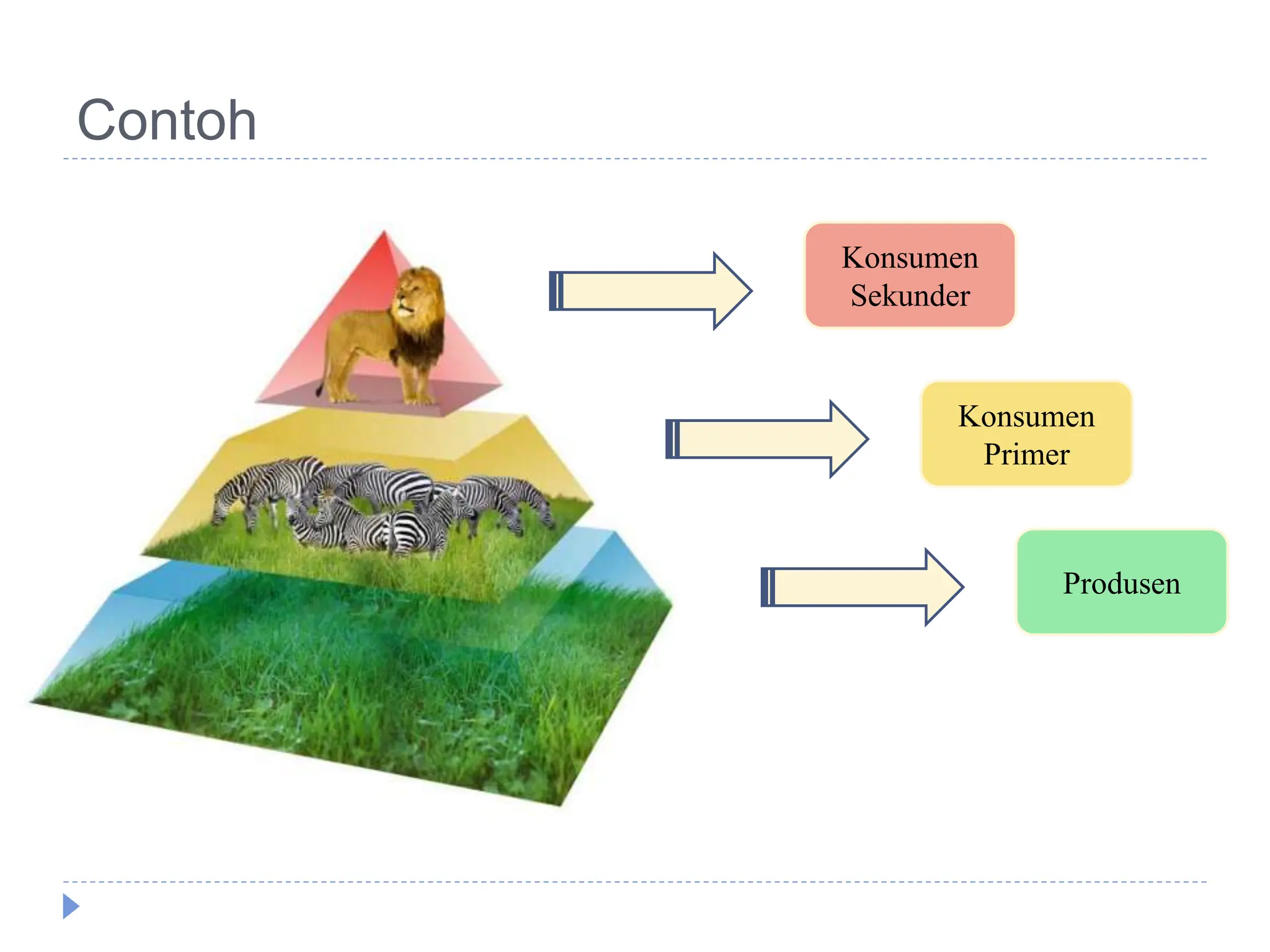 Materi, Energi, Dan Kehidupan.pptx