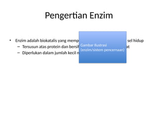 Materi_Enzim_SMA_mengenai kinerja enzim pada manusia | PPTX
