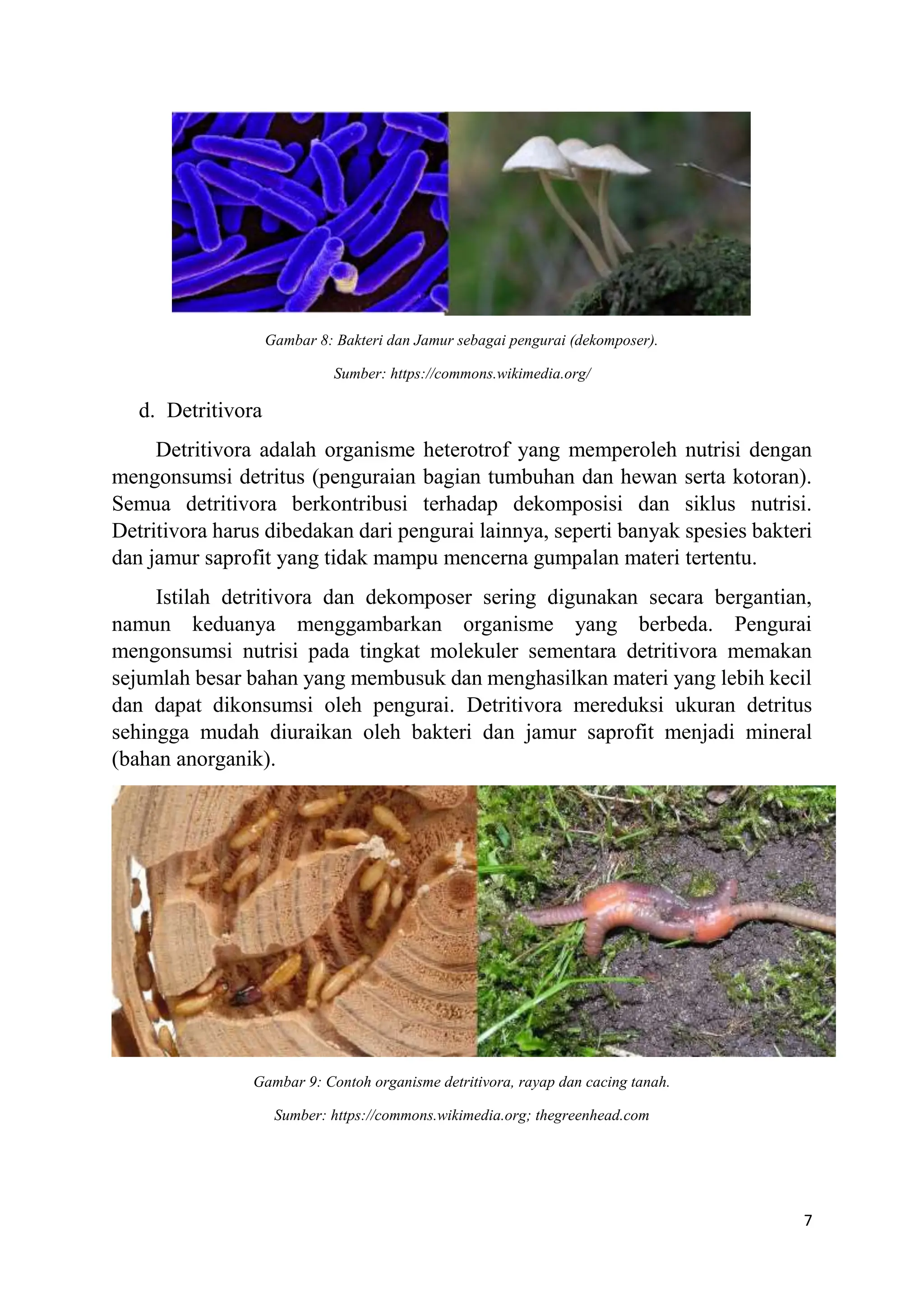 Materi E-modul Ekosistem kelas X SMA.docx