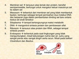 Materi eubakteia & archebakteria | PPT