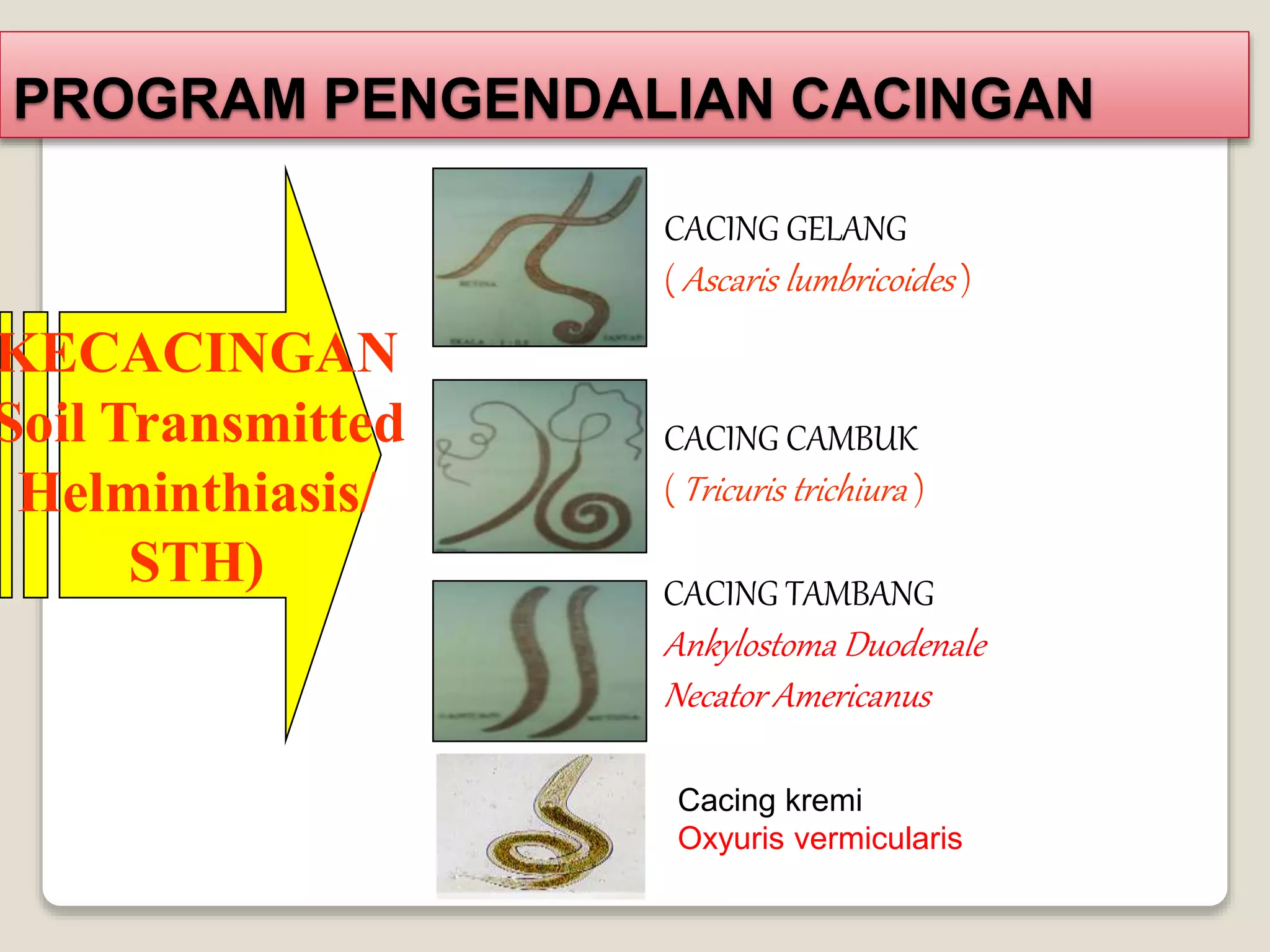 Materi filariasis dan kecacingan Yefa.ppt