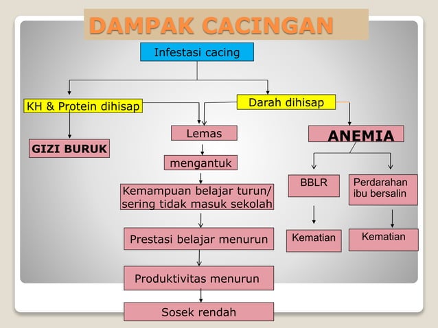 Materi filariasis dan kecacingan Yefa.ppt
