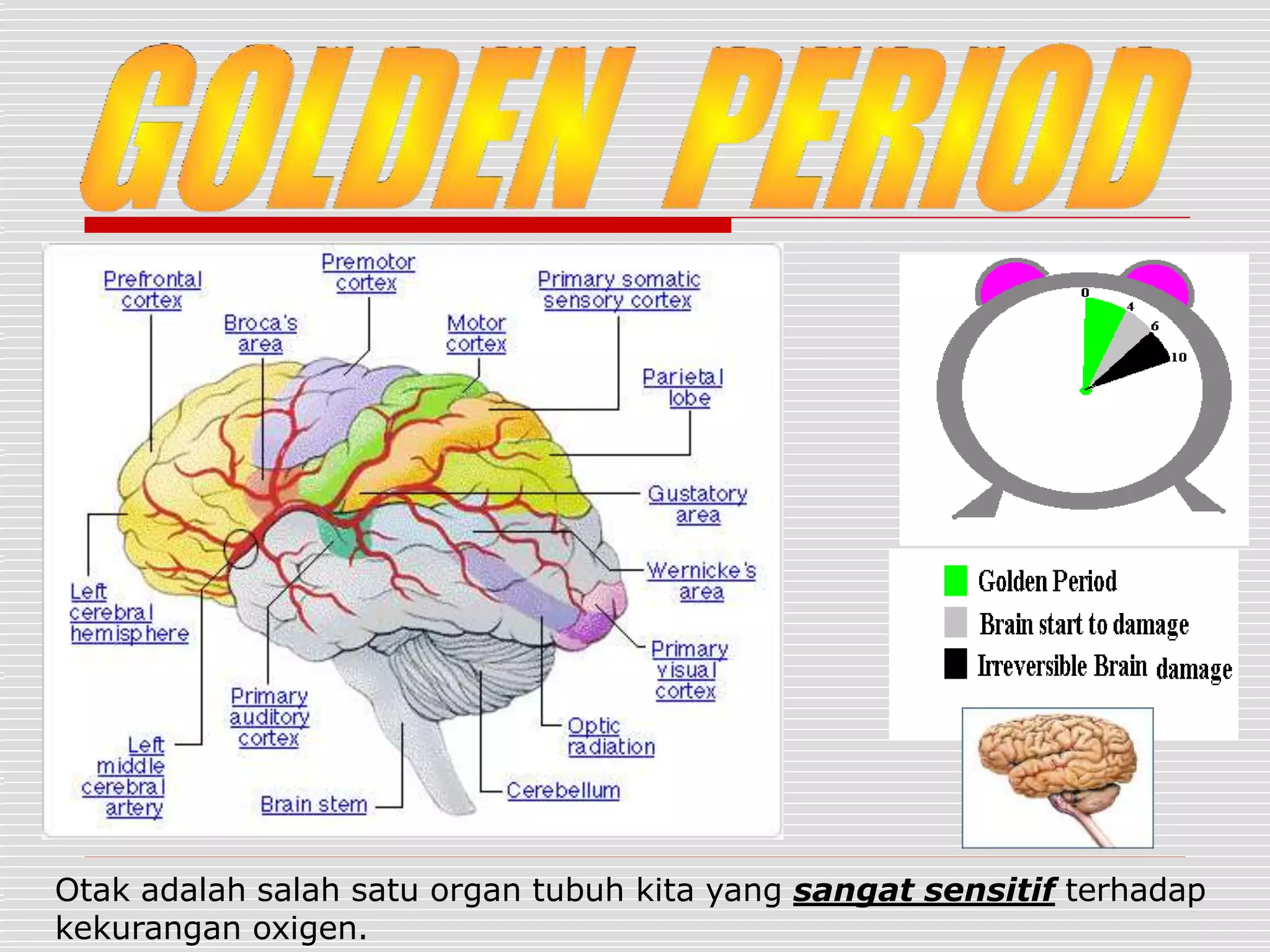 Materi_First_Aid_Training.pptx