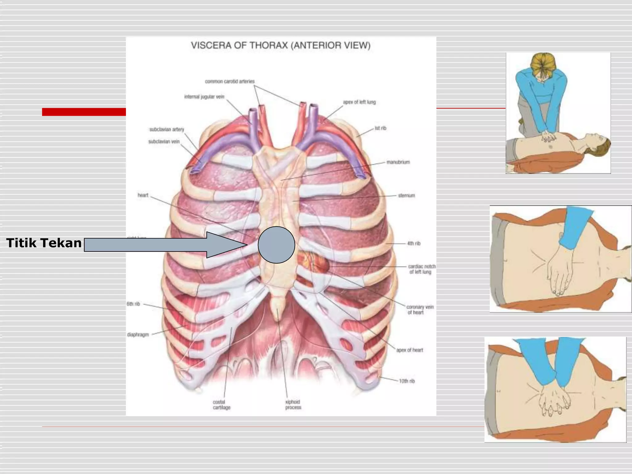 Materi First Aid Training.pptx
