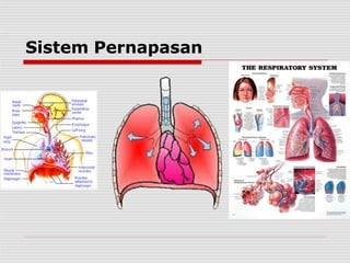 Materi First Aid Training.pptx