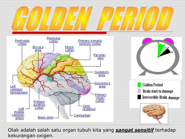 Materi First Aid Training.pptx