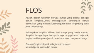 materi farmakognosi tentang flos .pptx