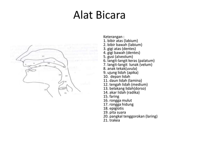 Materi fonologi bahasa indonesia | PPTX