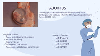 materi Gadar kehamilan muda dan lanjut.pptx