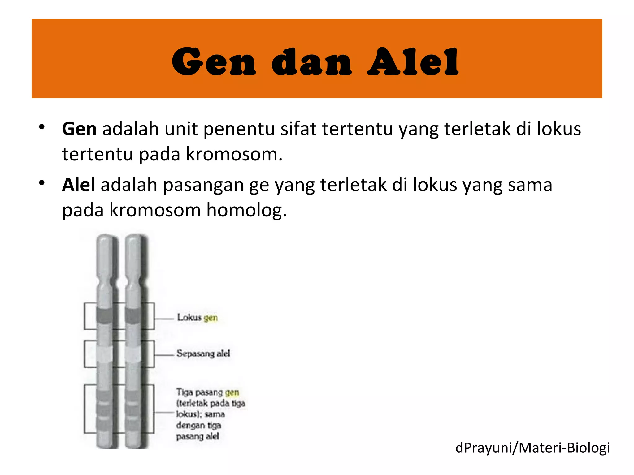 Materi genetik | PPT
