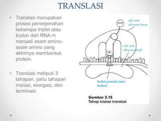 MATERI GENETIK | PPTX