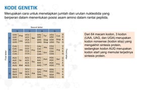 Materi genetik | PPTX